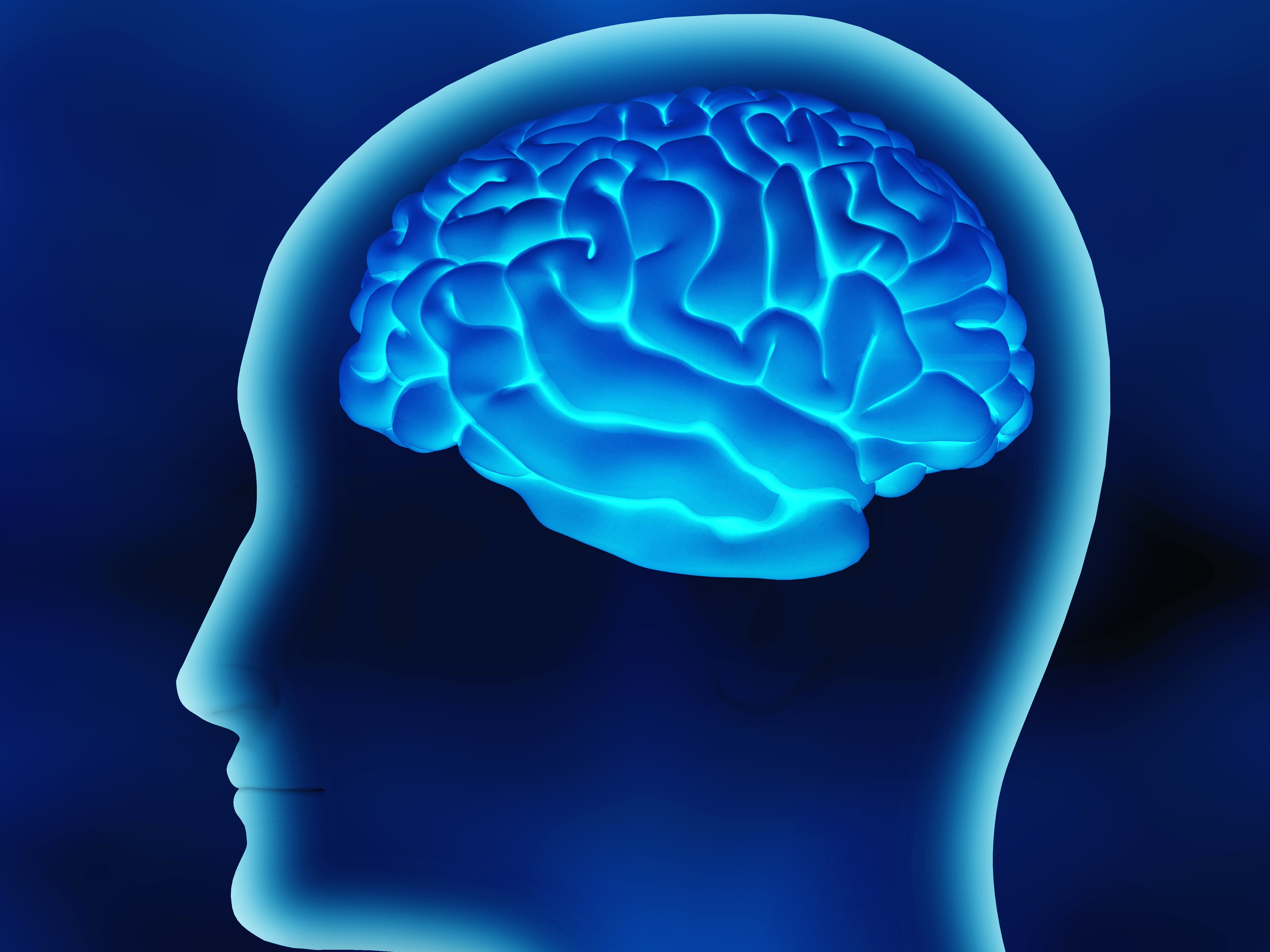 Understanding The Human Mind King s College London Summer Programmes