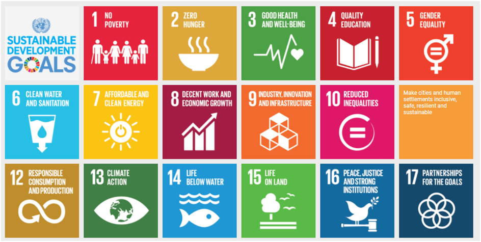 The Sustainable Development Goals – Geography