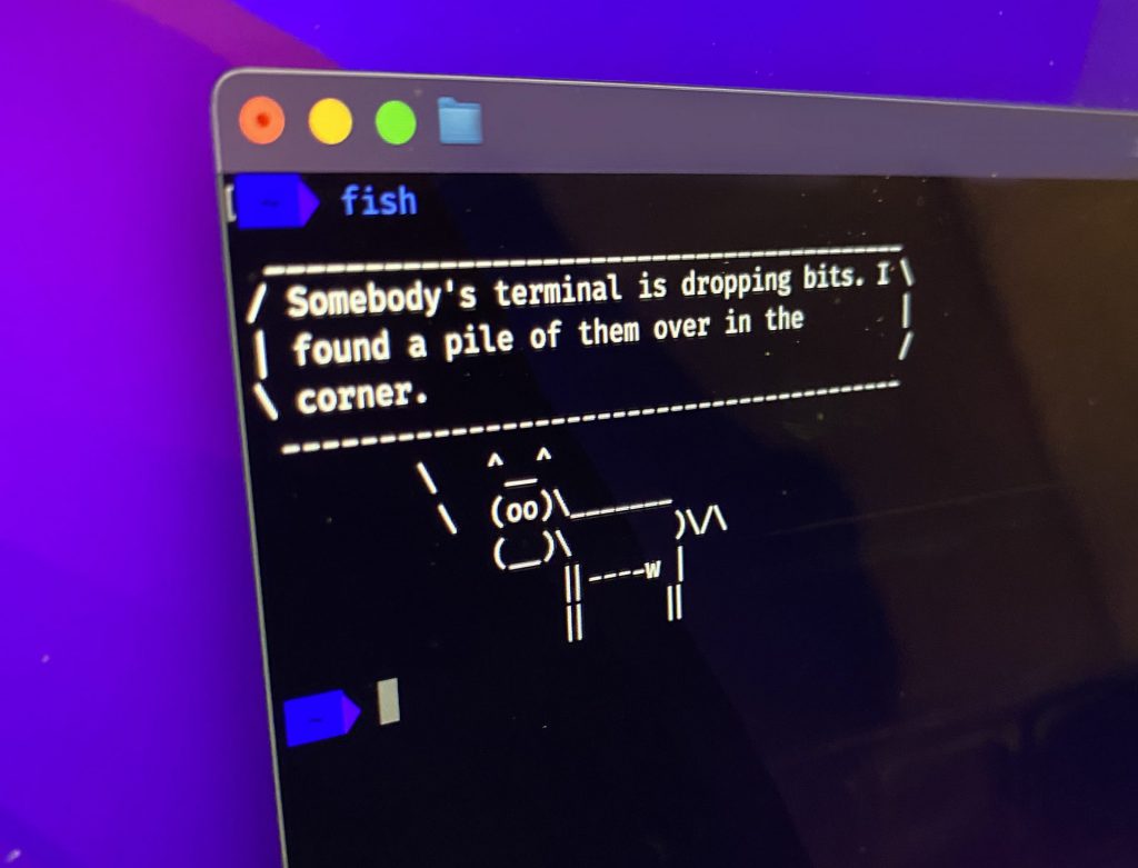 5 reasons why I love studying Computer Science – Science | Technology ...