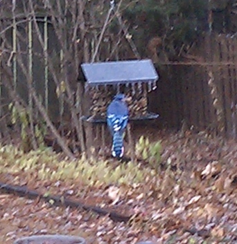 BlueJ | Programming Education Blog