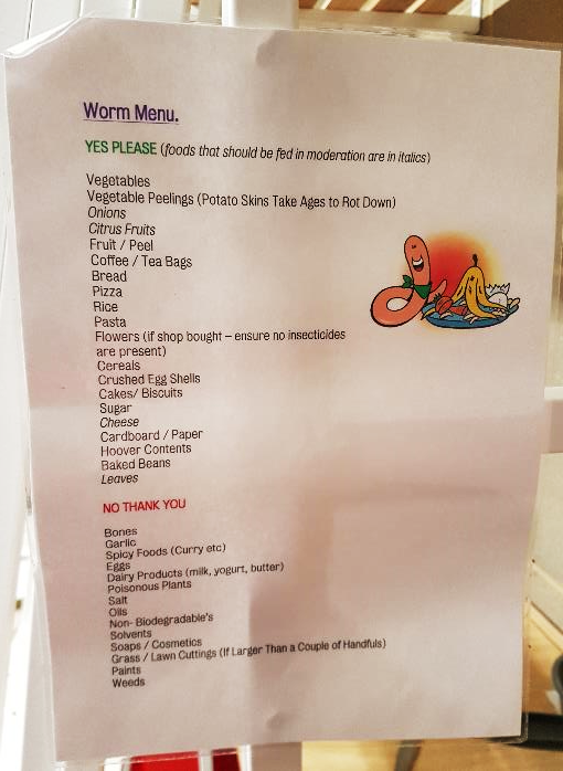 How to deal with food waste: Introducing the Wormery – King's ...